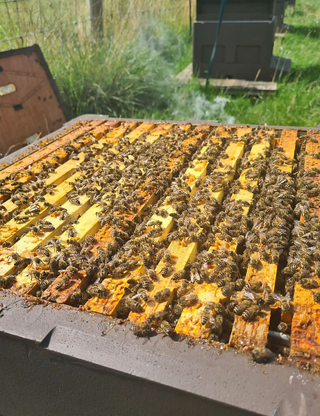 Pure Yorkshire Honey | Derwent Honey | Yorkshire Honey