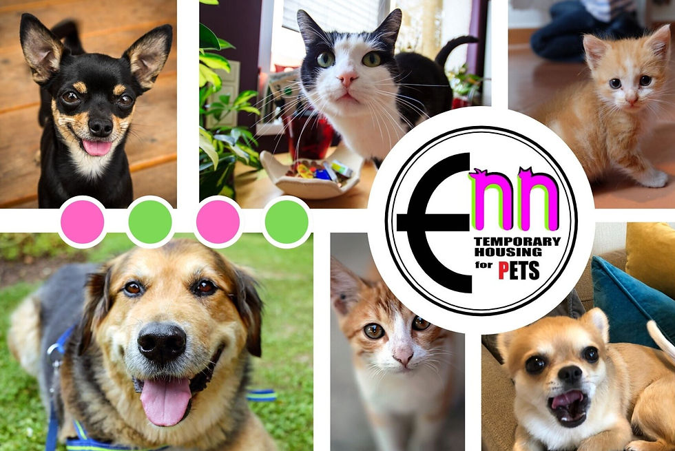 Enn | 奈良県の動物保護施設