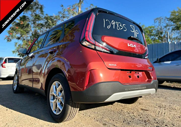 Junker Kenny | Kia