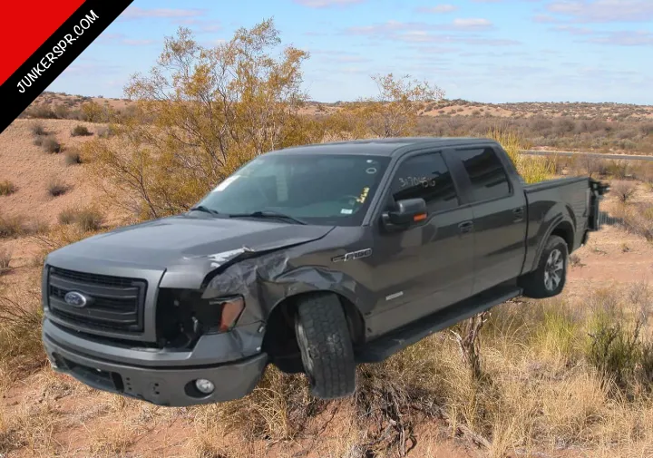 Junker Correa | Ford