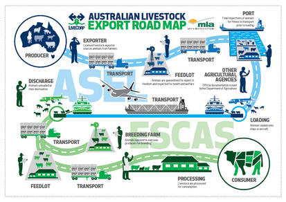Resources | Livestock Collective