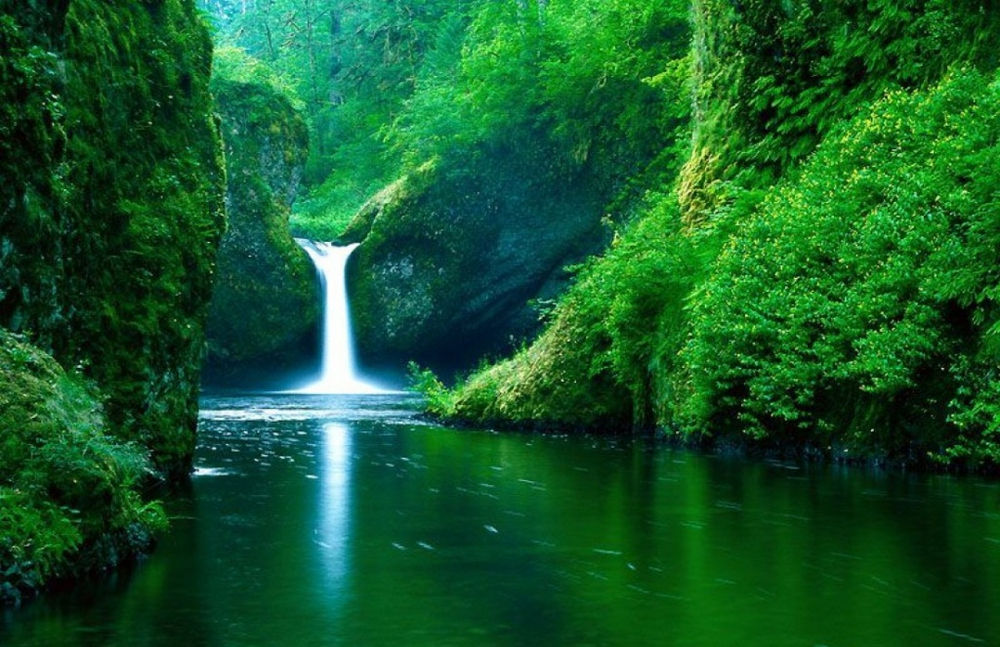 Qué es la naturaleza