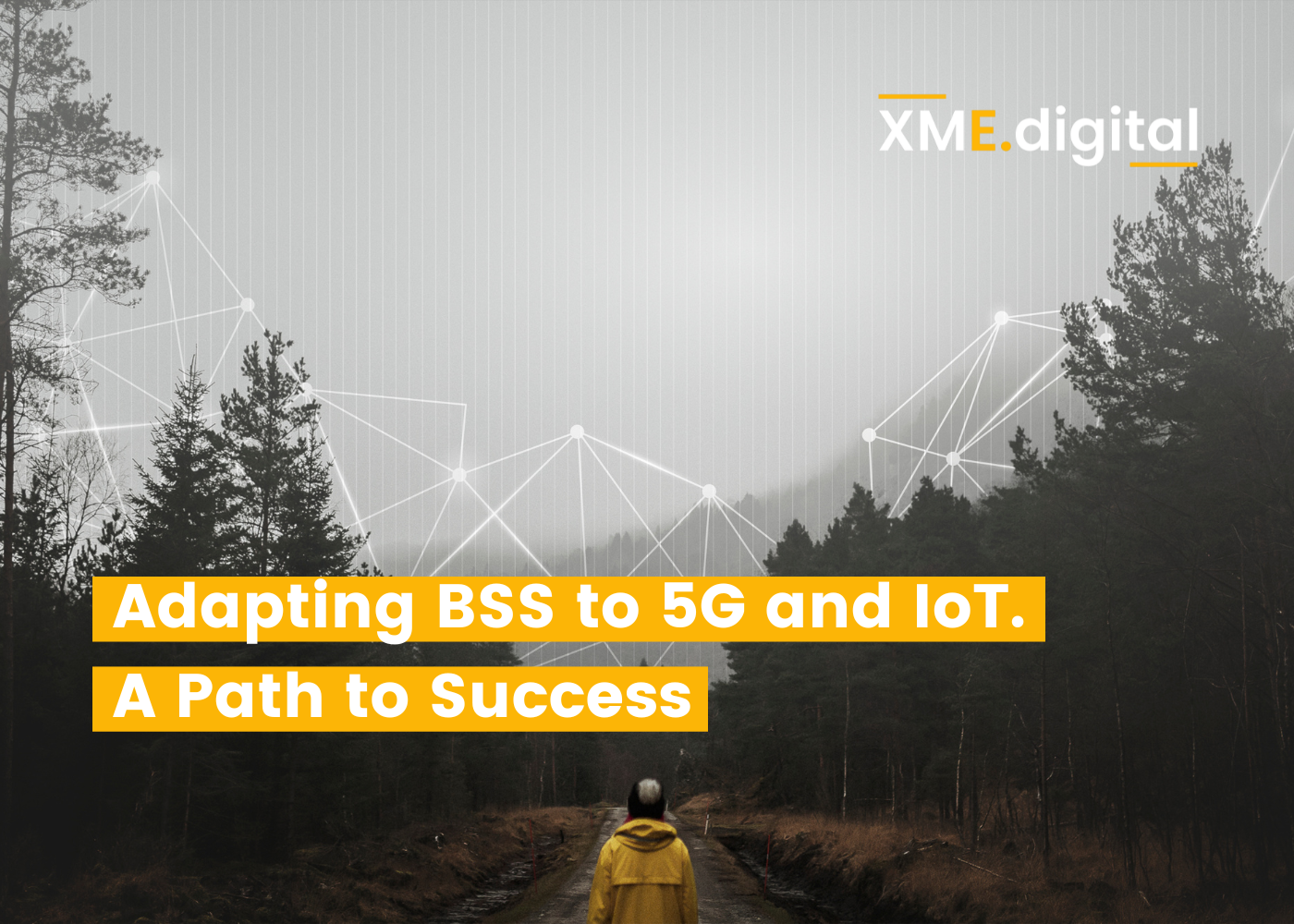 Adapting BSS to 5G and IoT. A Path to Success