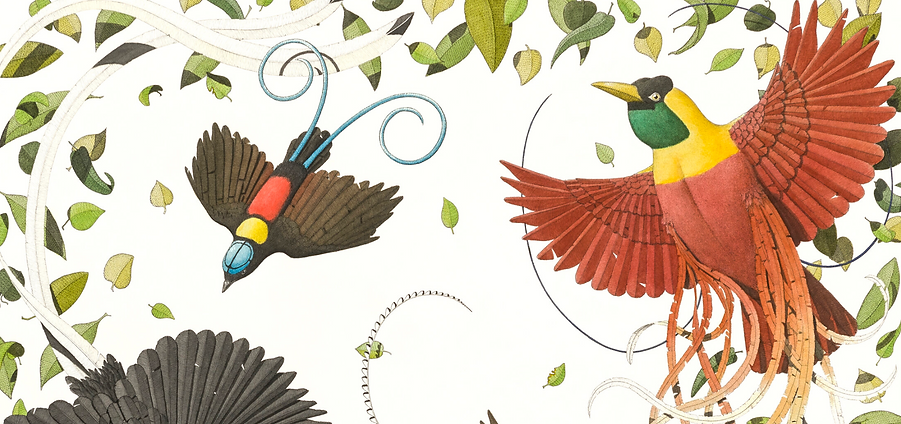 Angus Fisher | WarringahPrintmakers