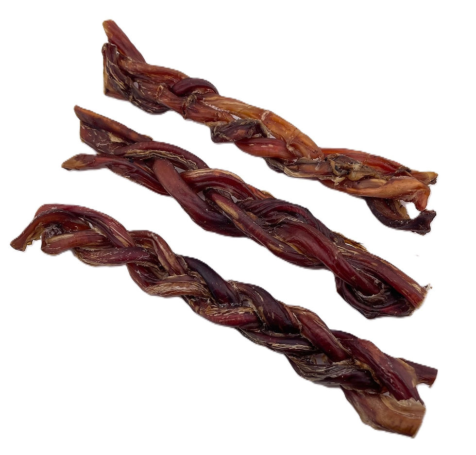 Braided Steer Pizzle 1 Piece | Pawfect Treats