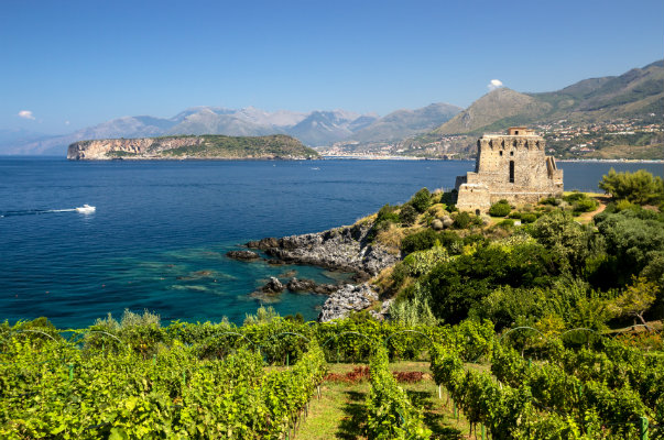 A Guide To Southern Italy's Wine Regions | Custom Italy Tours and Trip ...
