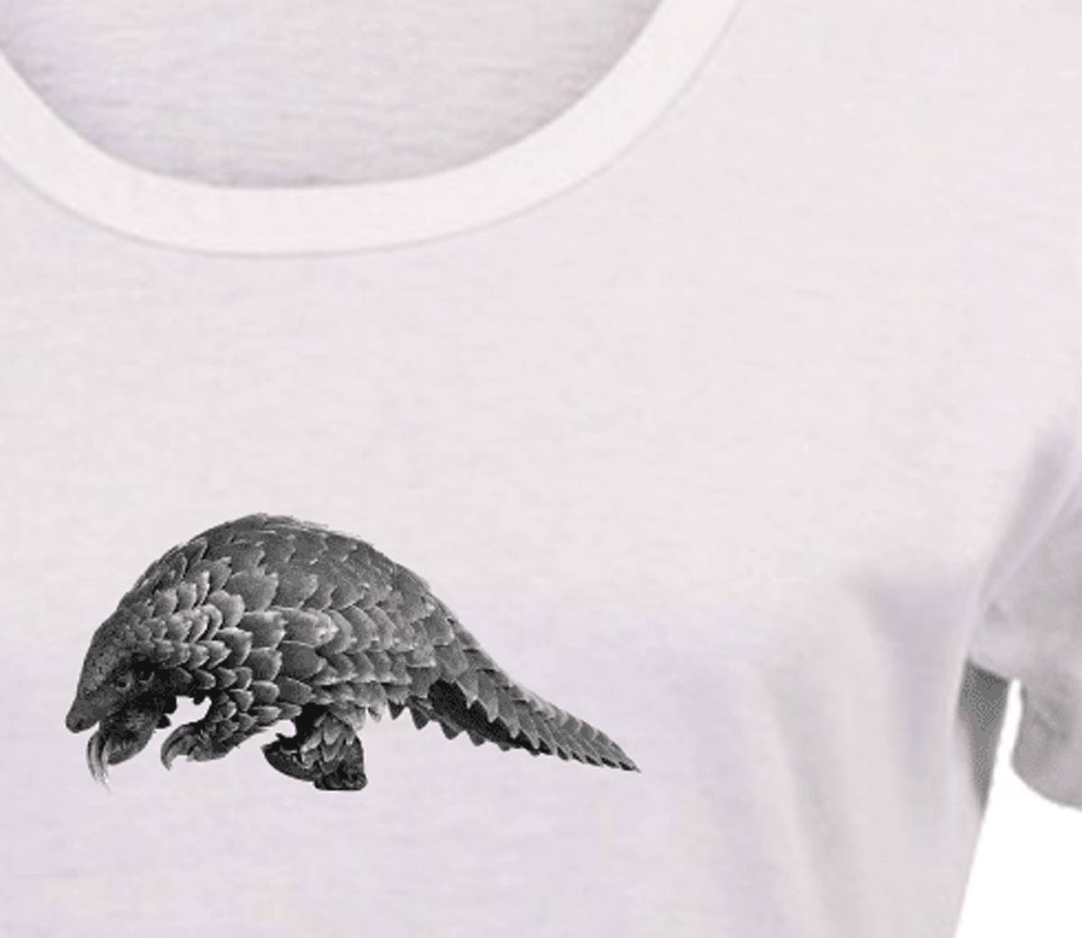 All Products | The Bateleurs