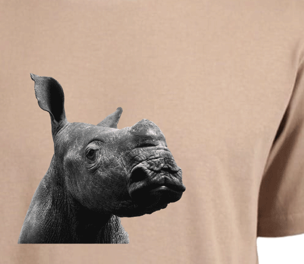 All Products | The Bateleurs