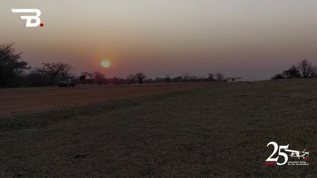 African Wild Dog Relocation: Karingani Game Reserve to Welgevonden Game ...