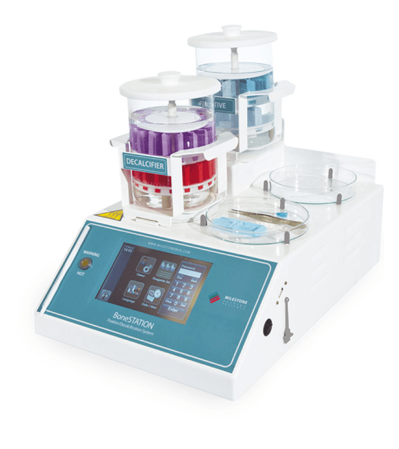 Bone Decalcification Services | Gentle & Rapid Protocols for Hard ...