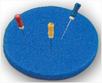 Endo Foam | orixhealth