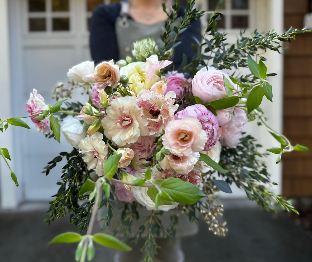 How to plant Ranunculus and Anemones
