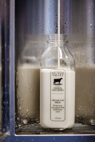 Promise Valley Farm and Creamery | organic milk | 7088 Richards Trail ...