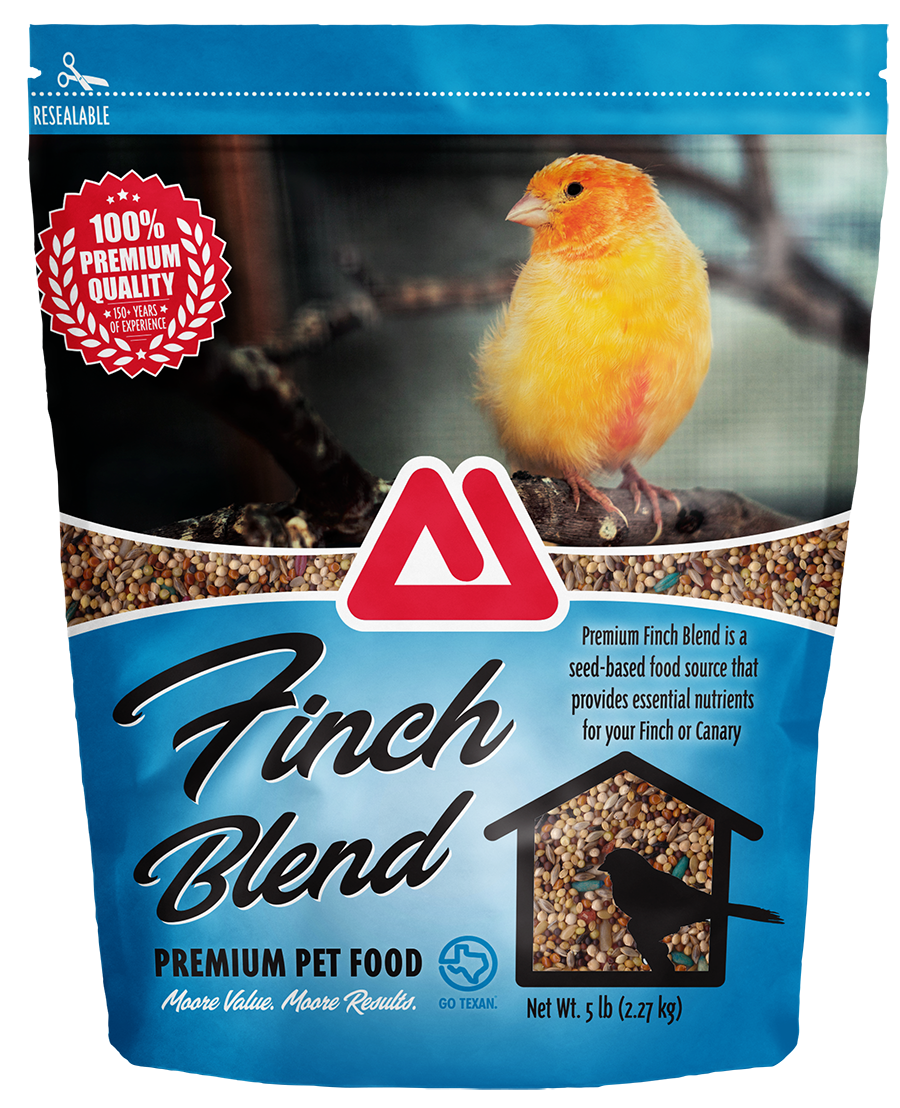 Finch Blend