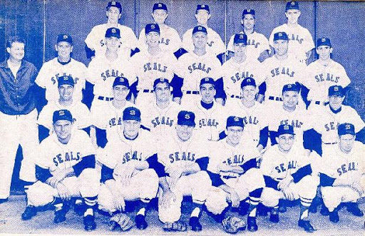 An Overview of the San Francisco Seals