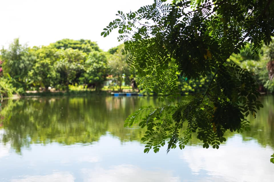 Fishing @ Samathi Lake Resort