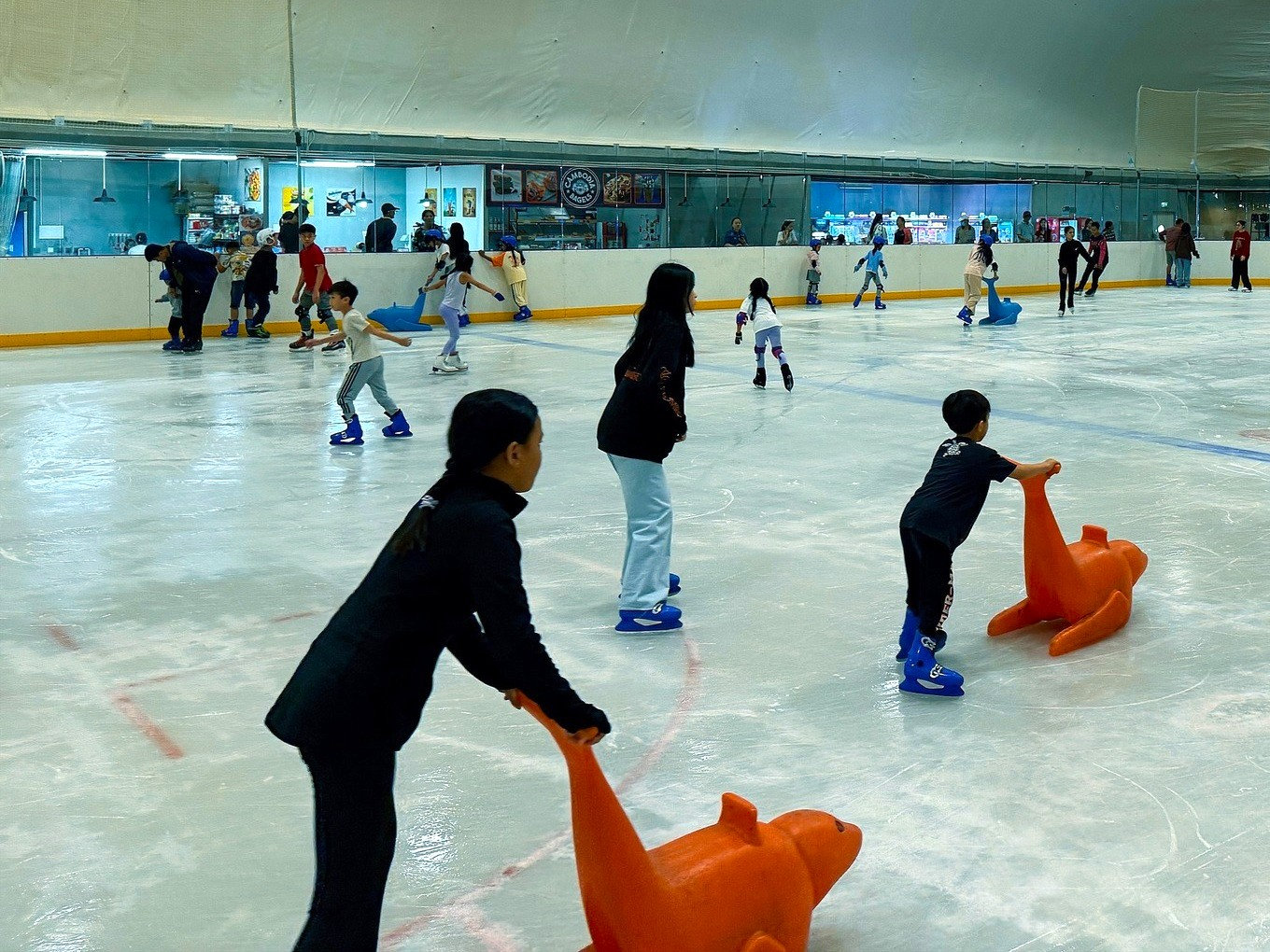 Ice Dome Cambodia
