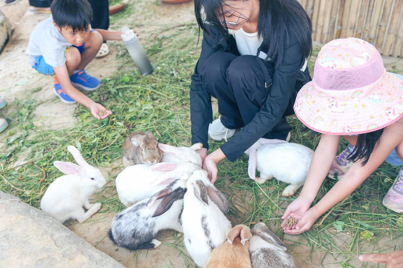 Coco Farm