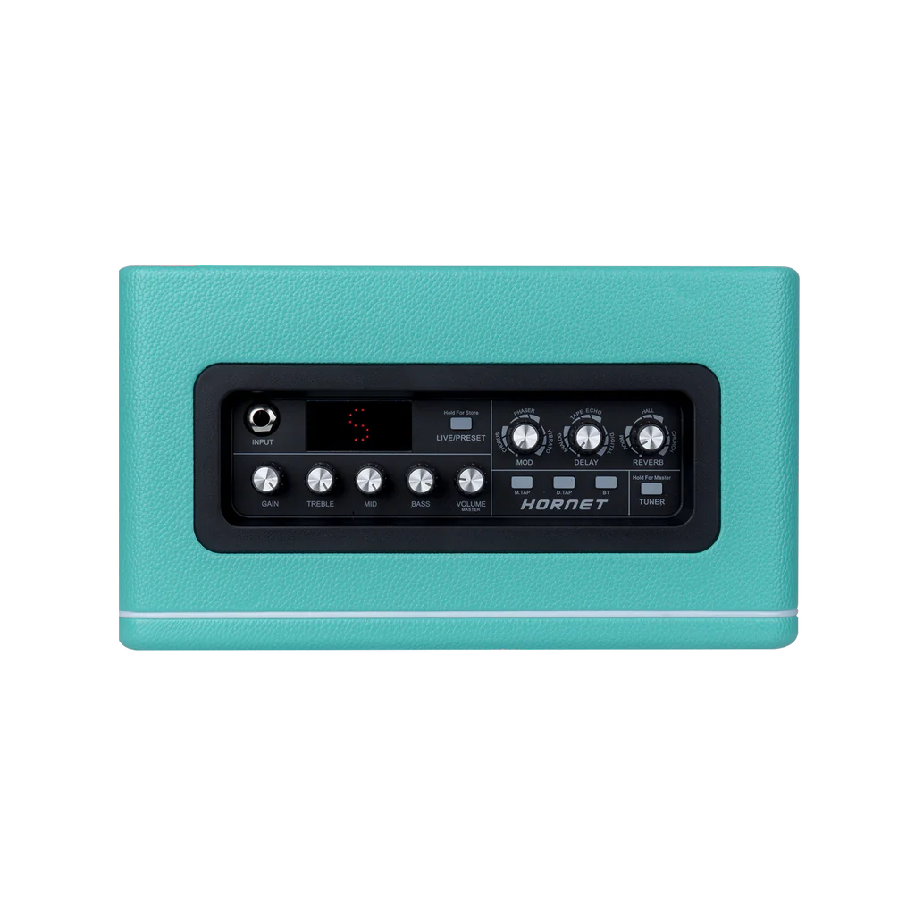 MOOER HORNET 15 WATT MODELLING AMPLIFIER COMBO GREEN | Kew Music Garage