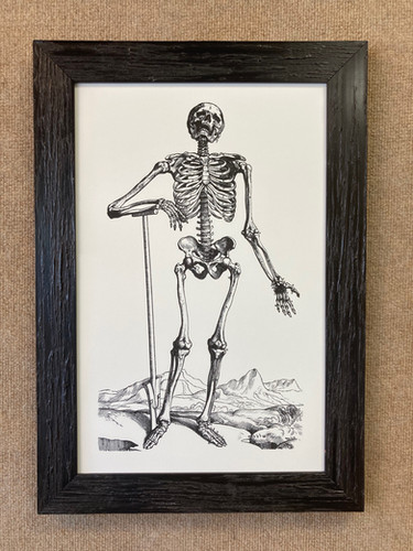 Skeleton Digging a Grave | replicaprints