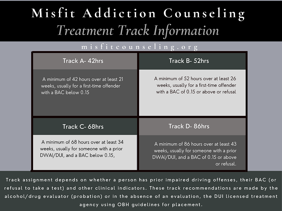 Misfit Addiction Counseling DUI Groups | Level 2 Therapy
