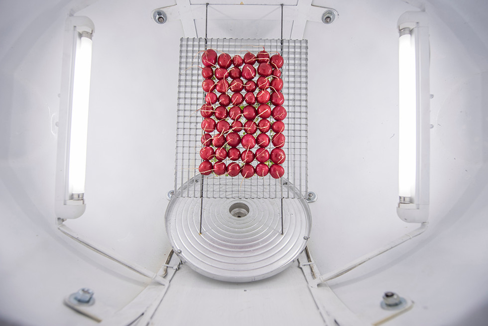 Spring Incubator | robotto