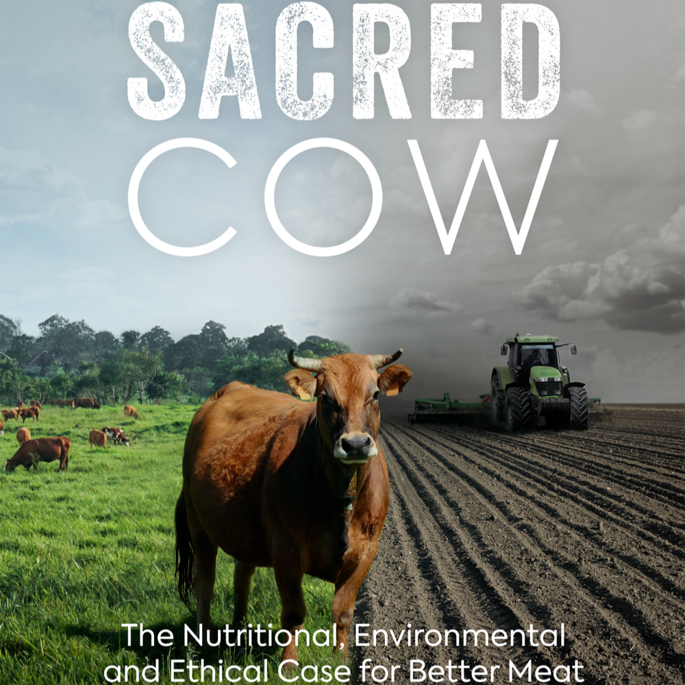 Sacred Cow