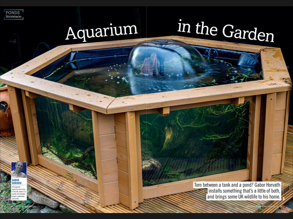 Garden Aquarium Featured in the Practical Fishkeeping Magazine Spring ...