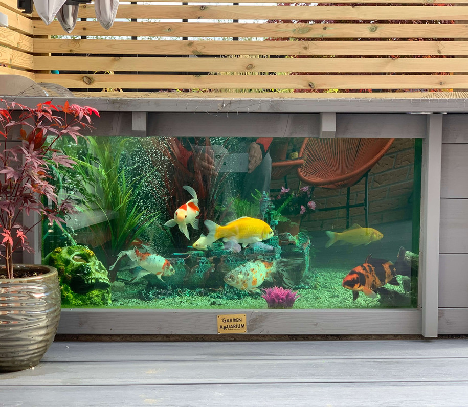 Photos | Garden Aquarium USA
