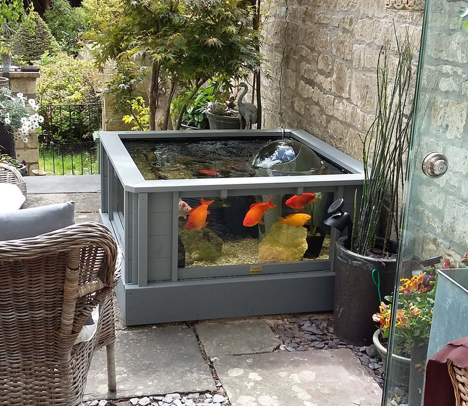 Gallery | Garden Aquarium