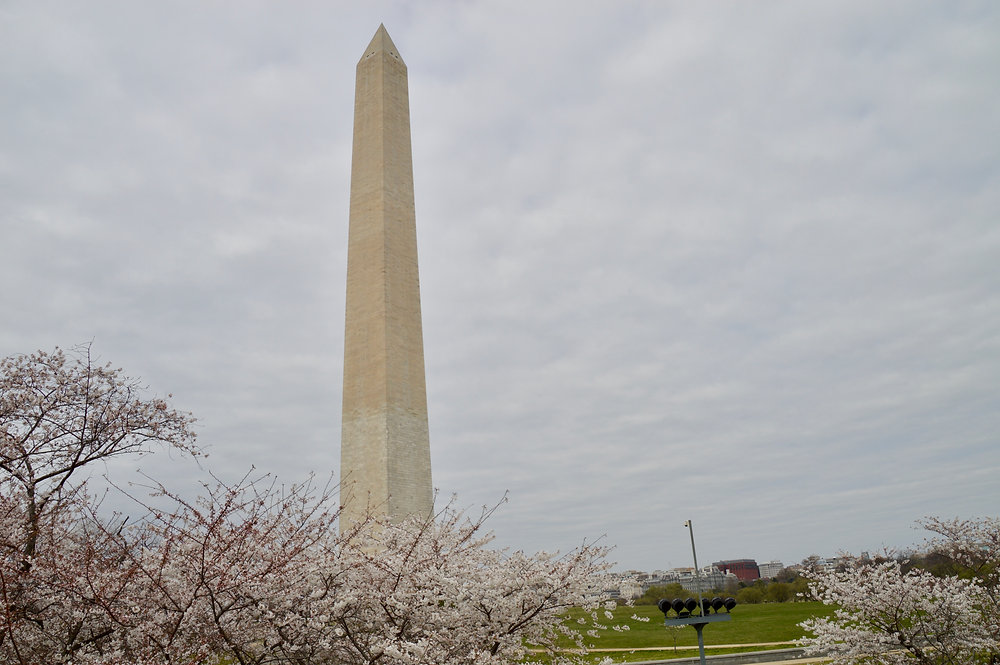 What You Need to Know About Visiting the Washington Monument
