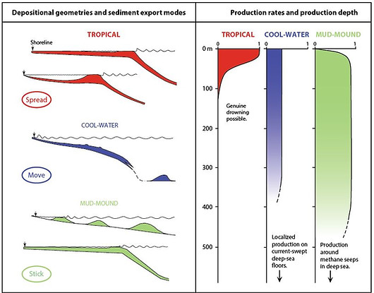 Carbonate Factory | stratigraphy