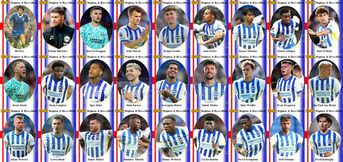 Brighton & Hove Albion 2024-25 Football Squad Player cards ...