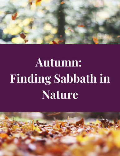 Autumn Walk | CtrforSpiritinNature