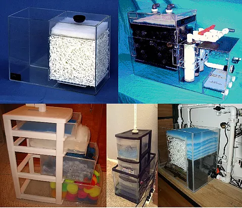 O processo da filtragem biológica no aquário