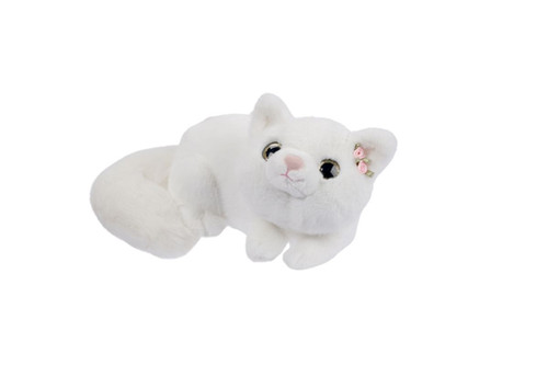 Persian Cats | Besitos