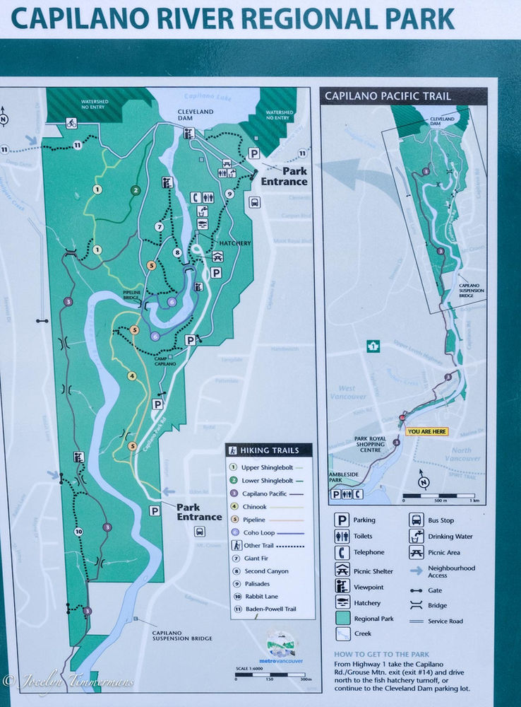 Capilano Pacific Trail
