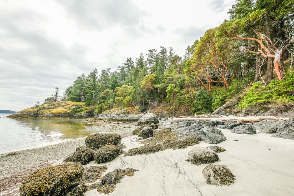 Exploring Texada Island