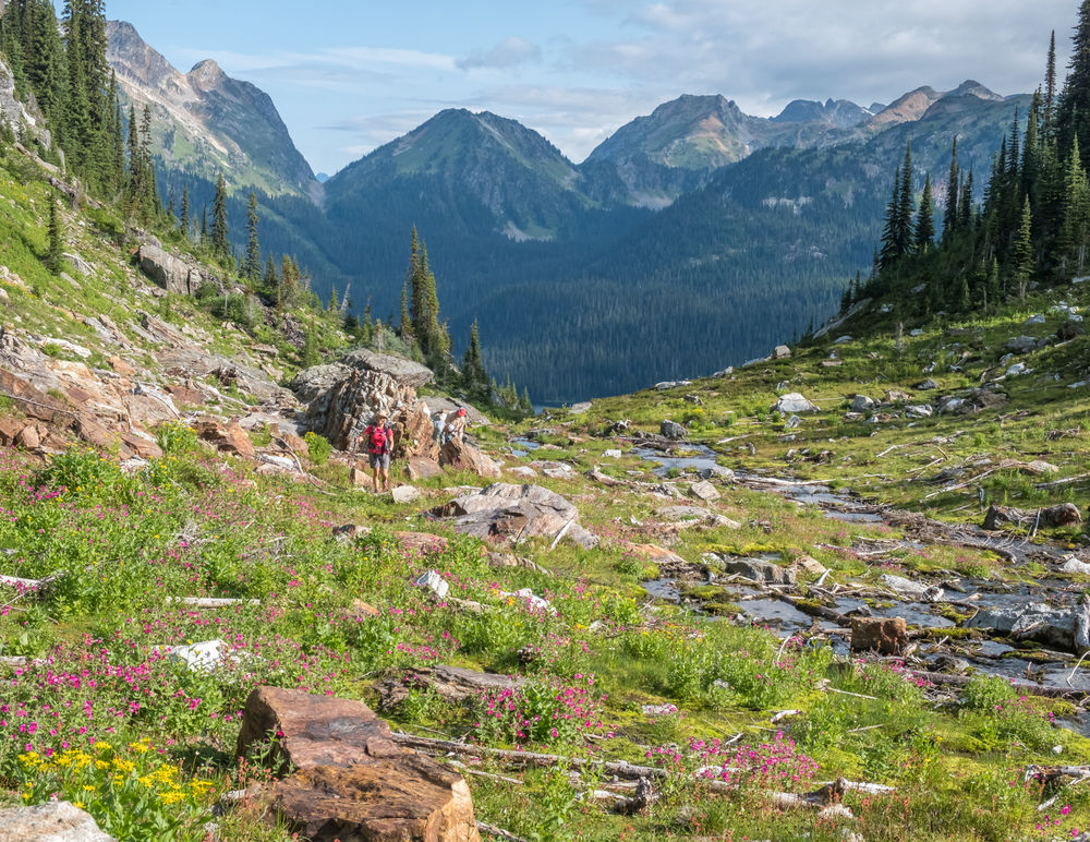 Monashee Provincial Park 2019