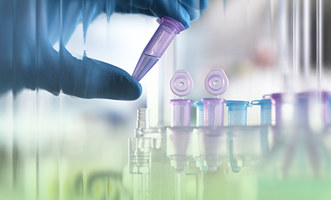 Reagentes para Biologia Molecular | Ludwig Biotec