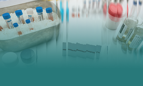 PCR e RT-PCR - ENTREGA EM 05 DIAS | Ludwig Biotec