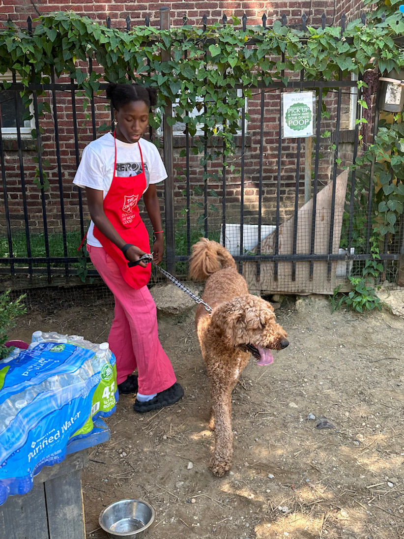 World leaders, Paws for the Kingdom and fighting malaria