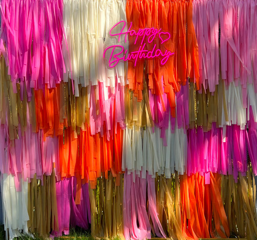 Fringe Backdrop with Interchangeable Neon Sign | Clink By Kaitlyn