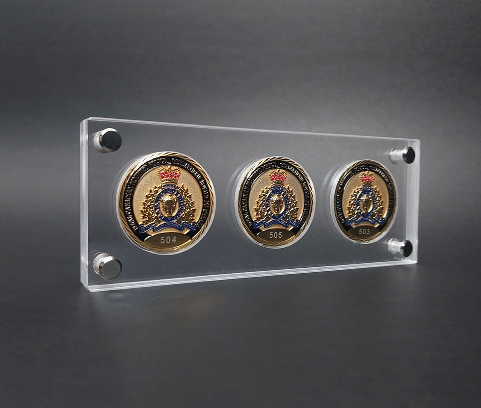 Three Coin Display | Maden Designs
