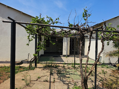 Golden Oldie Beauty | Henque Eiendomme