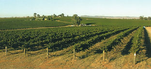 Cowra Estate | Cowra Estate Wine