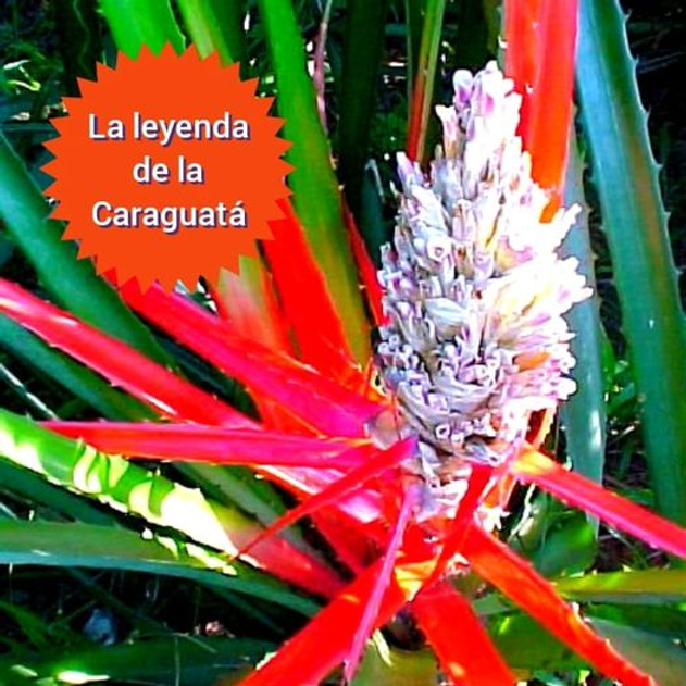 LA LEYENDA DE LA CARAGUATÁ
