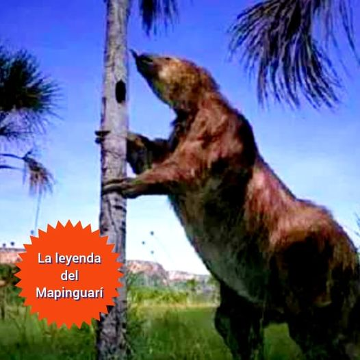 La leyenda del Mapinguarí