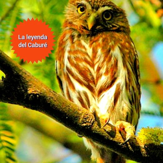 LA LEYENDA DEL CABURÉ