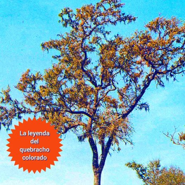 LA LEYENDA DEL QUEBRACHO COLORADO
